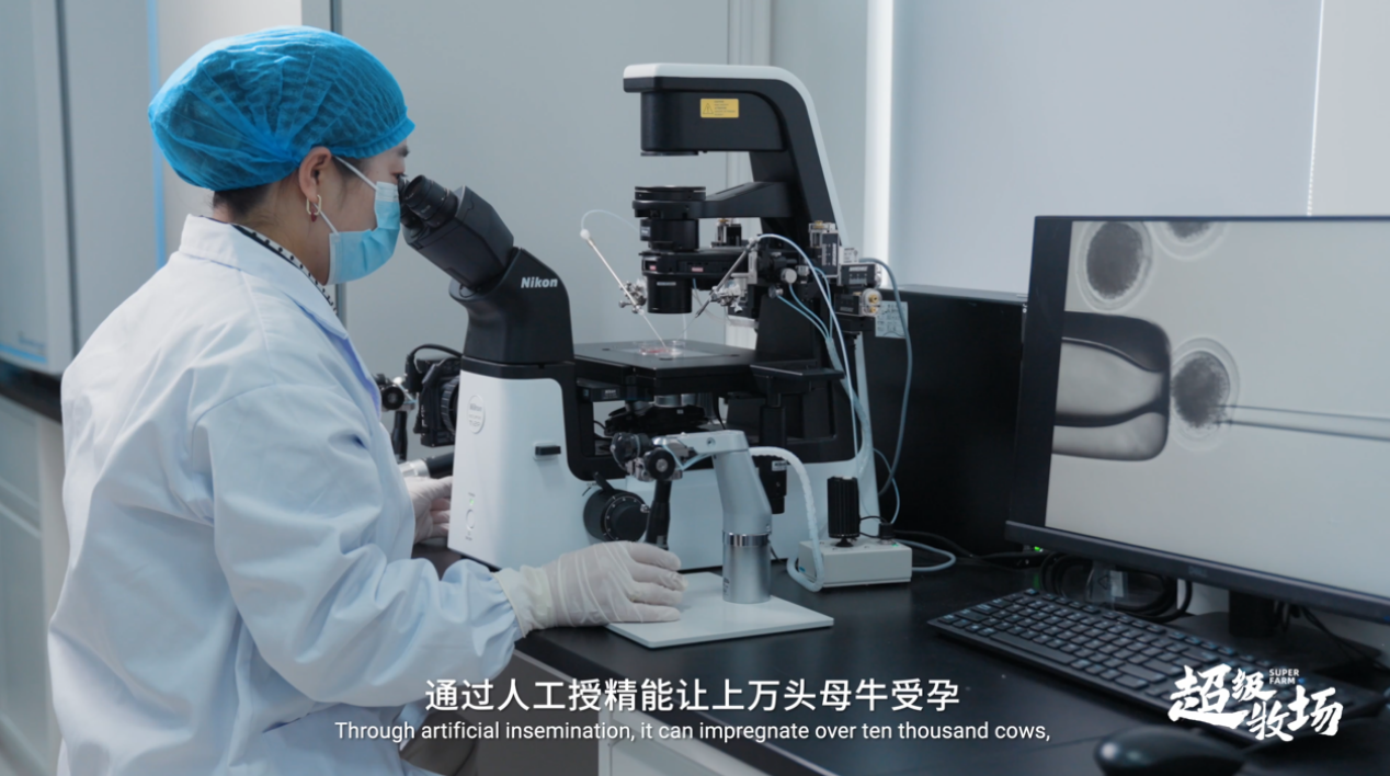 全球产业链协同的中国样本：《超级牛奶》纪录片正式上线